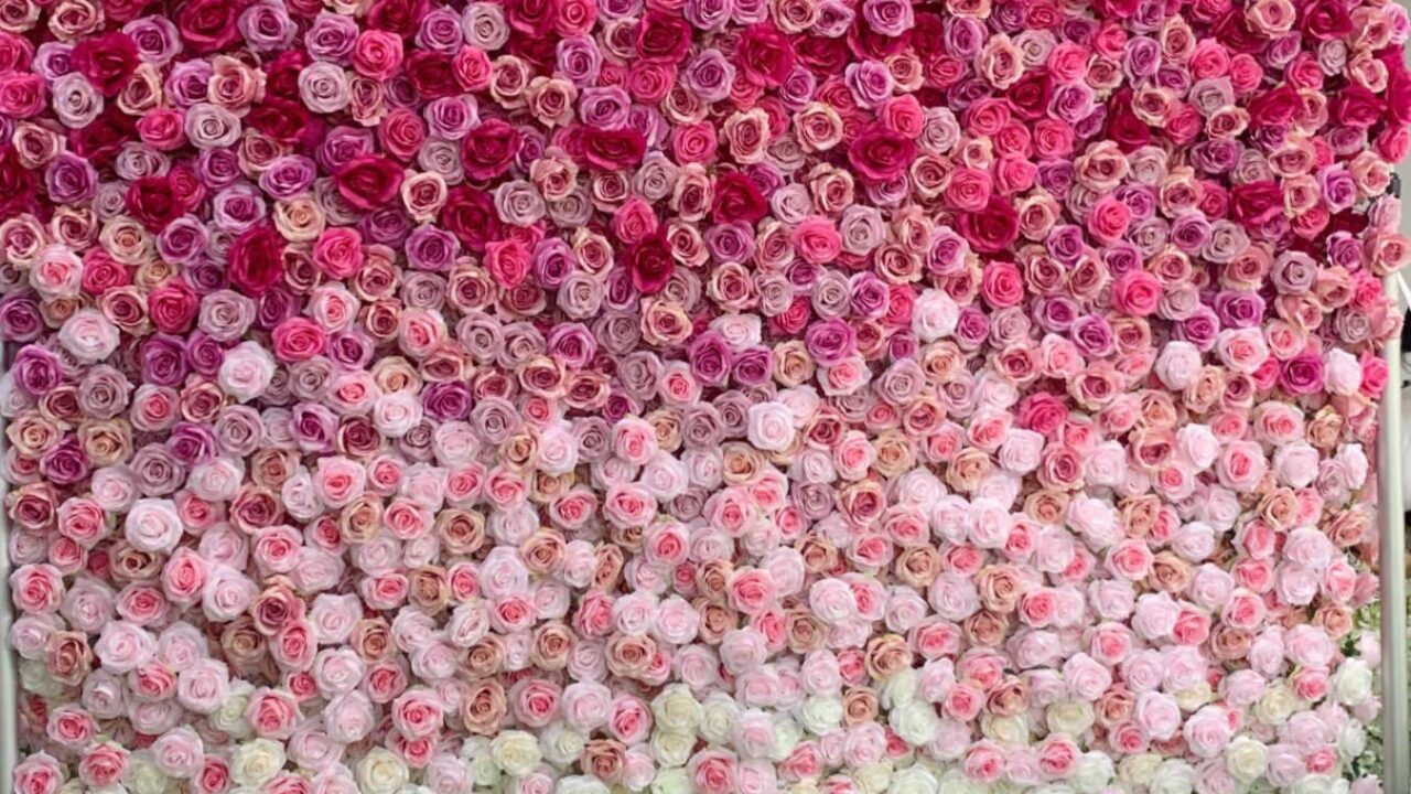 Flower Walls Rental Company Kingston | Marquee King